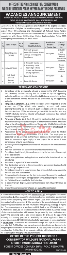 KPK Wildlife Jobs 2026 - Apply Online Now! – Jobskiduniya.com